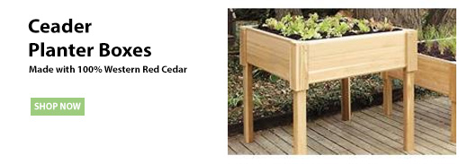 Teak Planter™